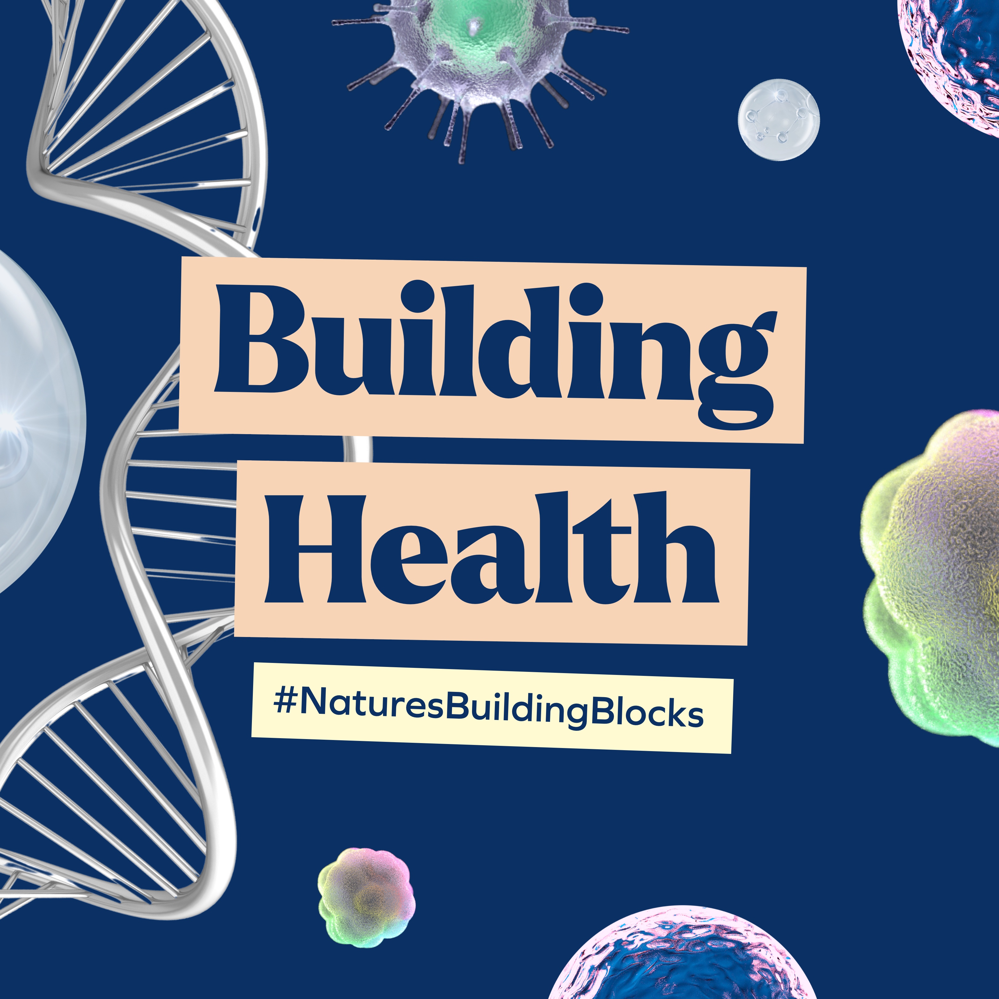 Nature's Building Blocks | BIO Nature's Building Blocks | BIO